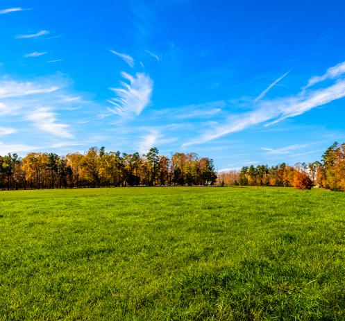 Land For Sale in North Carolina - Virginia - South Carolina Land For Sale in North Carolina - Virginia - South Carolina